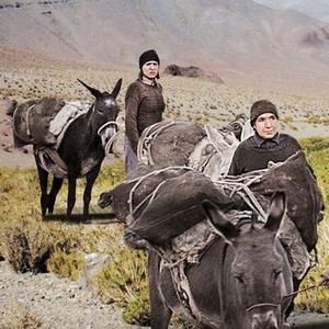 The Quispe Girls - Rotten Tomatoes