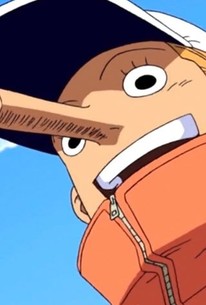 One Piece: Season 8, Episode 3 | Rotten Tomatoes