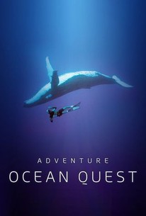 Adventure Ocean Quest - Special | Rotten Tomatoes