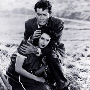 Outrage - Rotten Tomatoes