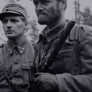 Commando Assault - Rotten Tomatoes