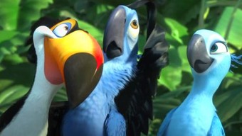 Rio - Rotten Tomatoes