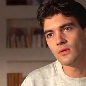 Matador - Rotten Tomatoes