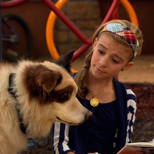 Dog With a Blog: Season 1, Episode 3 - Rotten Tomatoes