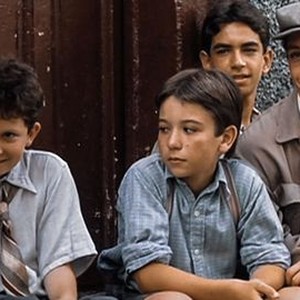 Sun - Rotten Tomatoes