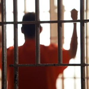 Divorce Corp. - Rotten Tomatoes