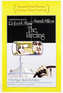 The Hireling | Rotten Tomatoes