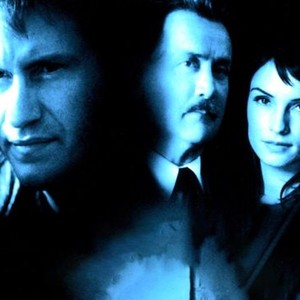 Snitch - Rotten Tomatoes