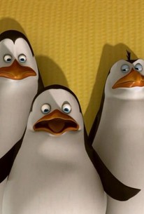 The Penguins of Madagascar: Season 2, Episode 18 | Rotten Tomatoes