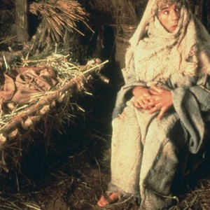 Life of Brian - Rotten Tomatoes