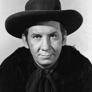 Fuzzy Knight - Rotten Tomatoes