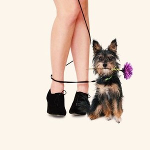 Gabe the Cupid Dog - Rotten Tomatoes