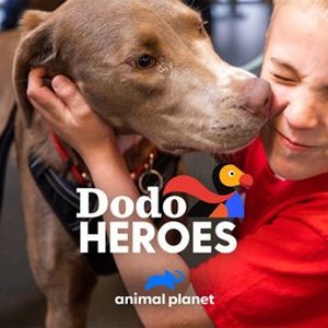 Dodo Heroes - Rotten Tomatoes