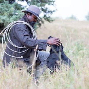 John Ware Reclaimed - Rotten Tomatoes