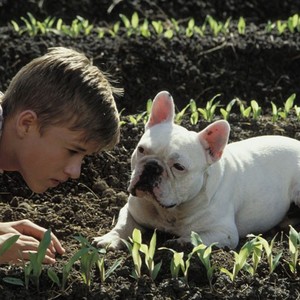 Secondhand Lions - Rotten Tomatoes