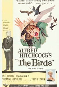 The Birds | Cast and Crew | Rotten Tomatoes