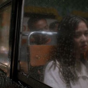 Fan Girl - Rotten Tomatoes