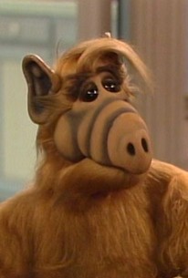 ALF: Season 3, Episode 13 | Rotten Tomatoes