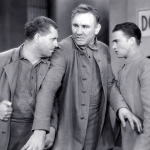 Numbered Men - Rotten Tomatoes