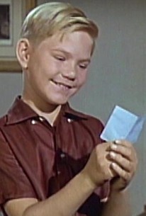 Hazel: Season 4, Episode 18 | Rotten Tomatoes