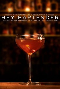 Hey Bartender! (2013) | Rotten Tomatoes