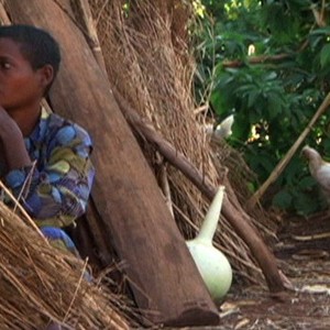 A Walk to Beautiful - Rotten Tomatoes