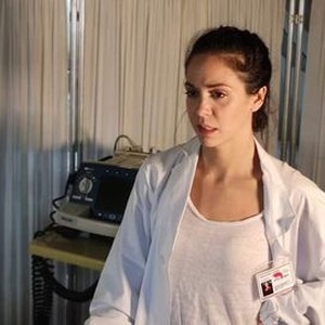 The Last Fighter - Rotten Tomatoes