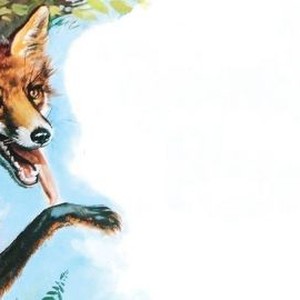 The Belstone Fox - Rotten Tomatoes