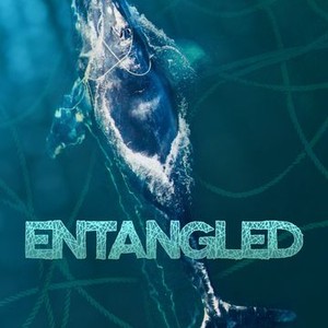 Entangled - Rotten Tomatoes