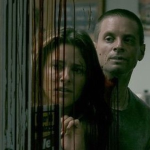 Splinter - Rotten Tomatoes