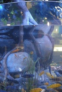 Fish Tank Kings: Season 2, Episode 7 | Rotten Tomatoes