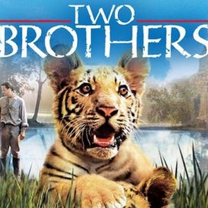 Two Brothers (2004) - Rotten Tomatoes