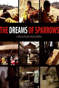 The Dreams of Sparrows | Rotten Tomatoes
