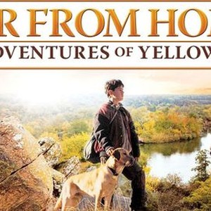 Far From Home: The Adventures of Yellow Dog - Rotten Tomatoes