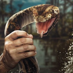 Swamp People: Serpent Invasion - Rotten Tomatoes