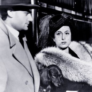 Il Bandito - Rotten Tomatoes