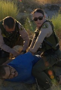 Cops: Season 33, Episode 23 | Rotten Tomatoes