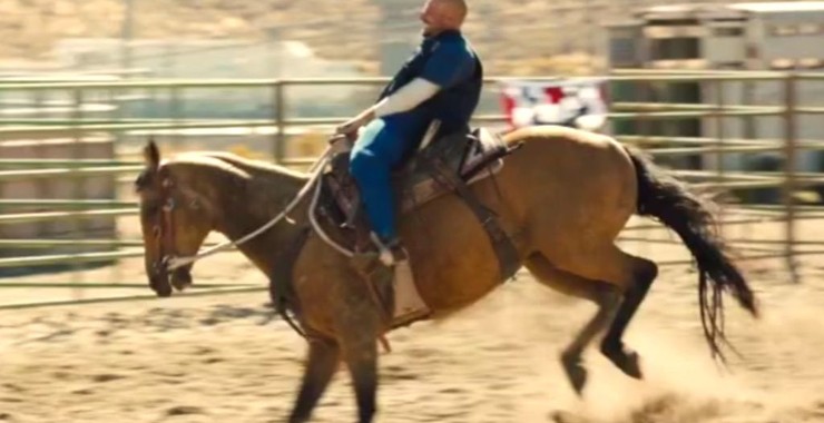 The Mustang - Rotten Tomatoes