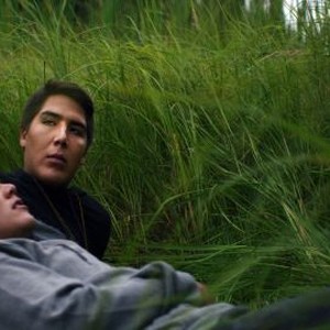 Fire Song - Rotten Tomatoes