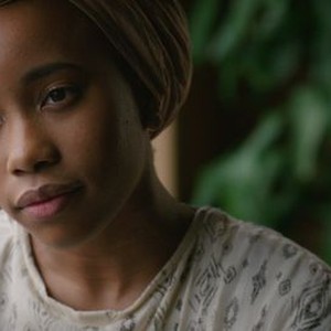 Jinn - Rotten Tomatoes