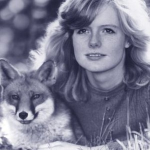 The Belstone Fox - Rotten Tomatoes