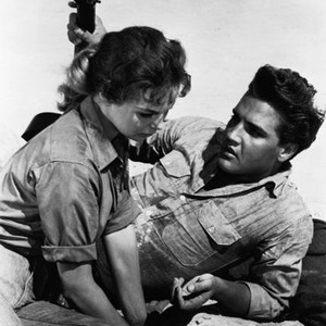 Anne Helm - Rotten Tomatoes