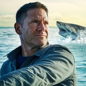 Most Extreme Sharks With Steve Backshall: Season 1, Episode 1 - Rotten ...