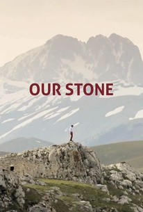 Our Stone | Rotten Tomatoes