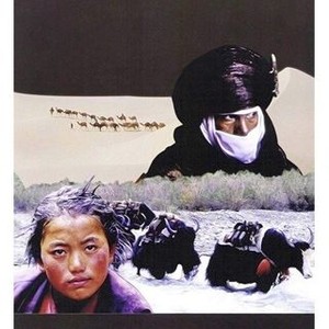 Caravan - Rotten Tomatoes