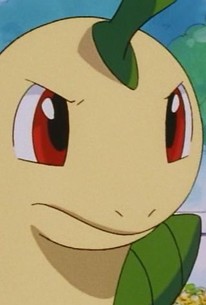 Pokémon the Series: Johto League Champions, Episode 43 | Rotten Tomatoes