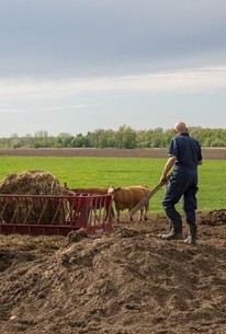 The Incredible Dr. Pol: Season 4, Episode 3 | Rotten Tomatoes