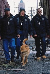 Animal Cops: Detroit: Season 4, Episode 5 | Rotten Tomatoes