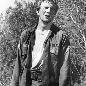 Craig Wasson - Rotten Tomatoes