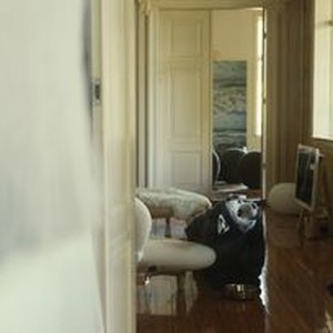 Good Boy - Rotten Tomatoes